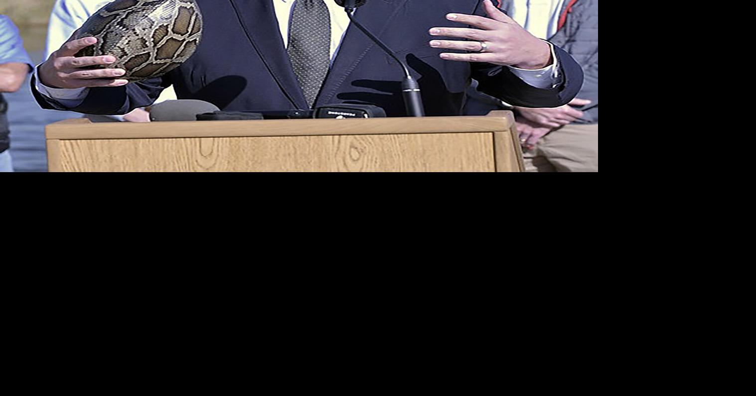 Governor Ron DeSantis Highlights the Start of the 2023 Florida Python ...