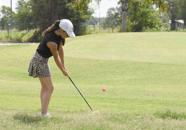 Sertoma's sizzling summer swings into Arcadia Muni | Local ...