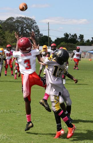 AP youth football teams sweep Lakeland | Highlands News-Sun ...