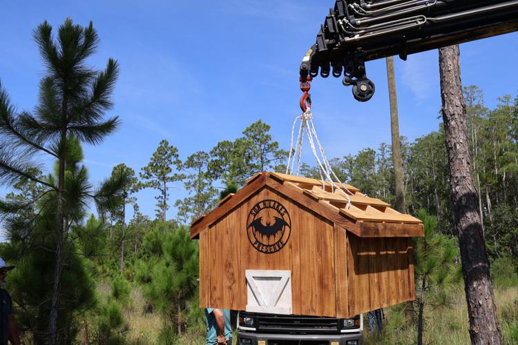 A bat mansion installed at Sun 'N Lake Nature Preserve | Highlands News ...