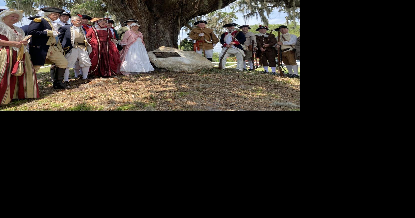 Liberty Tree a highlight of festival | Highlands News-Sun ...