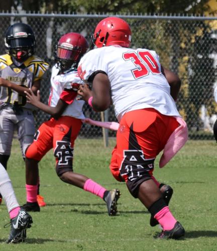 AP youth football teams sweep Lakeland | Highlands News-Sun ...