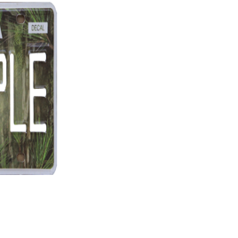 ‘Florida Native’ license plate celebrates Florida’s native plants ...