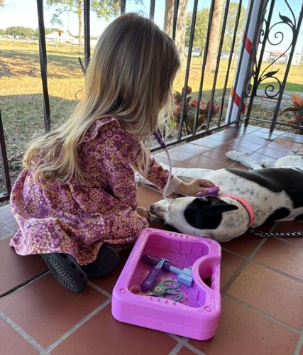 save your legs documentary