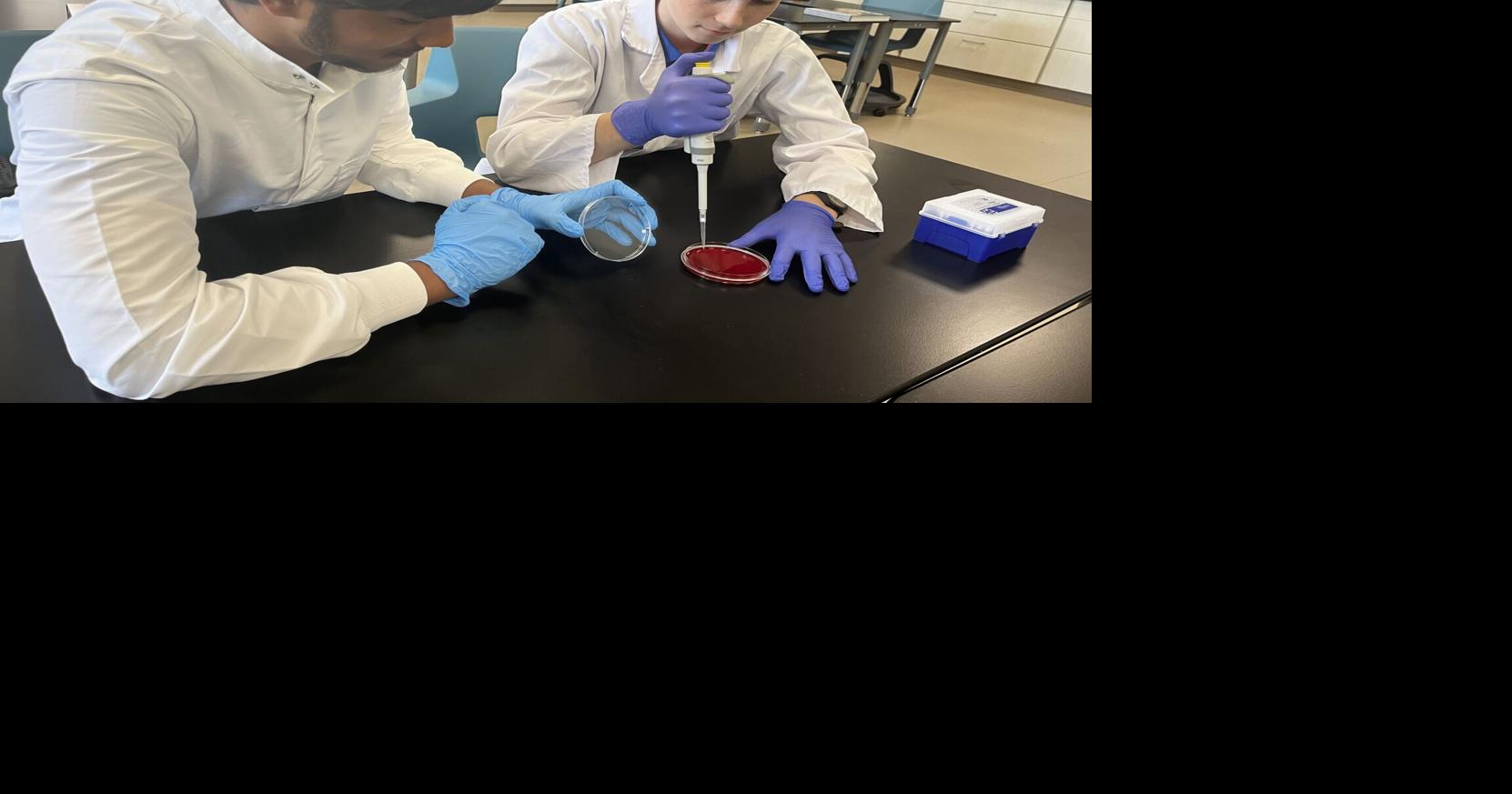 High school students learn to tackle the threat of superbugs | News ...