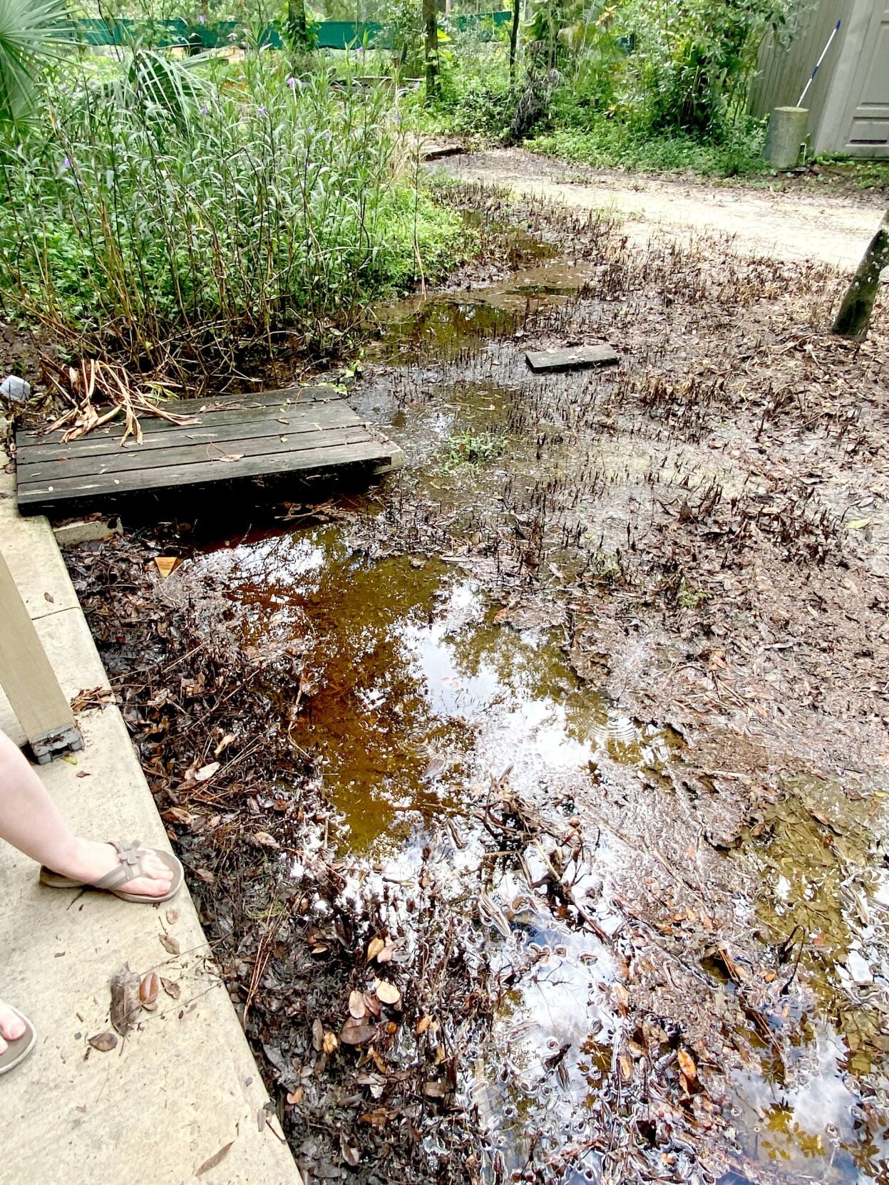 It's flooding again: Venus, Lake Josephine areas saw water back up ...