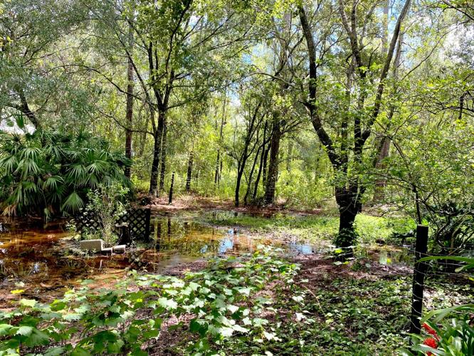 It's flooding again: Venus, Lake Josephine areas saw water back up ...