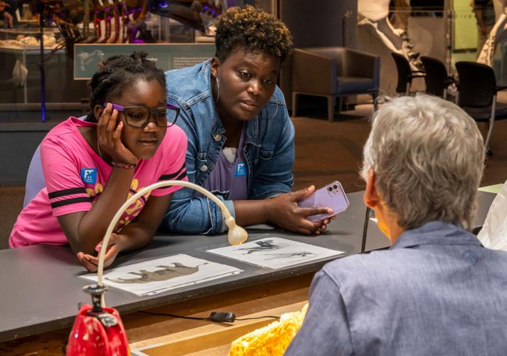 Crawl, buzz or flutter to the Florida Museum’s new insects exhibit ...