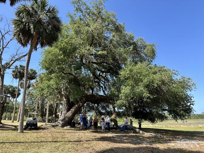 Lake County landowners win state award | Clermont Sun ...