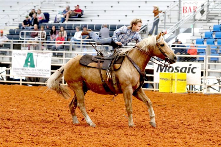 A Hartt for rodeo: Yale Hartt, 9, in lead for local, national ...