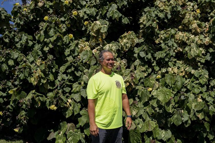 In Hawaii, coral is the foundation of life | News ...