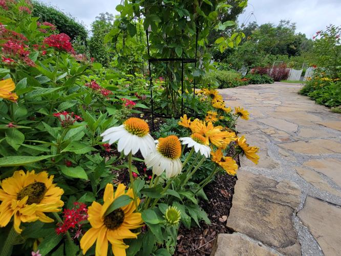 Wildlife gardening in HOA communities | Triangle News Leader ...