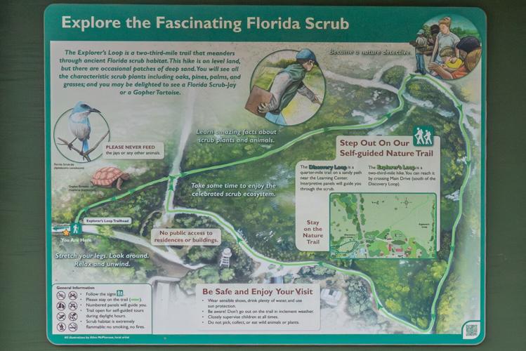 Discovering scrub habitat at Archbold's trails | Highlands Sun ...