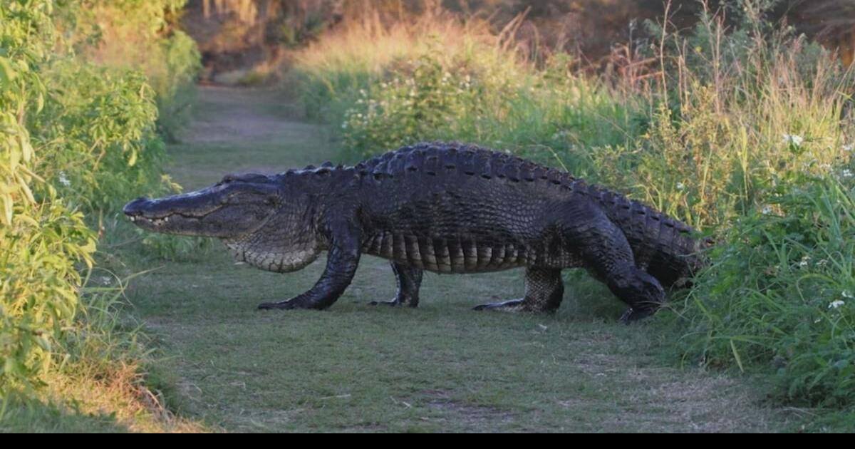 Circle B Bar Reserve temporarily closed on Thursday, January 18 | News ...