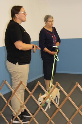 Heartland Dog Club digs its paws into new home | Highlands Sun ...