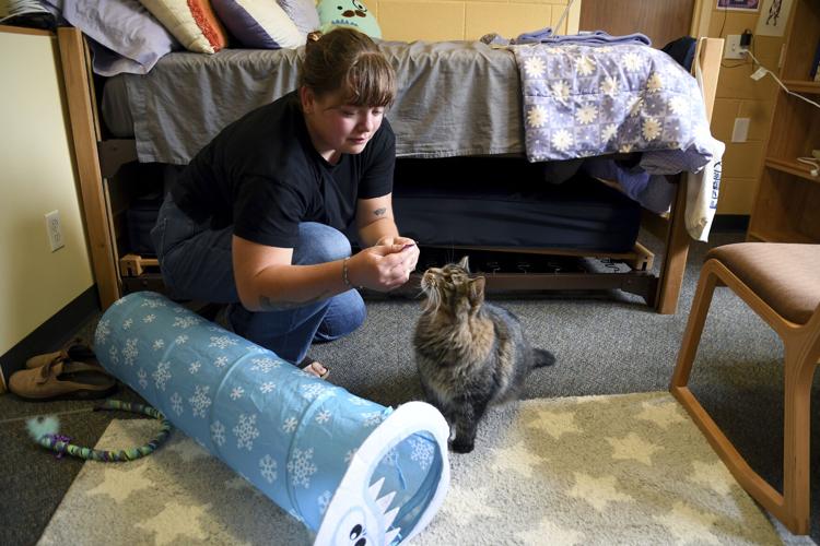 These colleges are welcoming pets in dorms to reduce students' stress ...