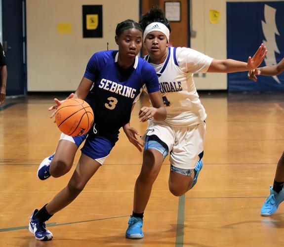 Sebring pulls away from Bloodhounds | Local | midfloridanewspapers.com