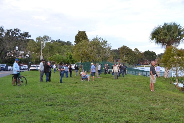 Wings in a flurry at Swan Round-Up | Photo Gallery ...