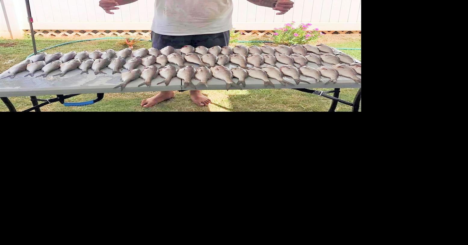 Maui hate crime case spotlights Hawaii's racial complexity ...