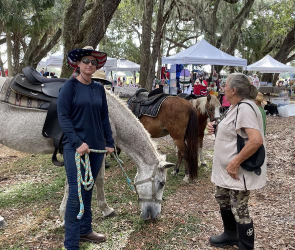 Spring Lake Fall Festival Saturday | Highlands News-Sun ...