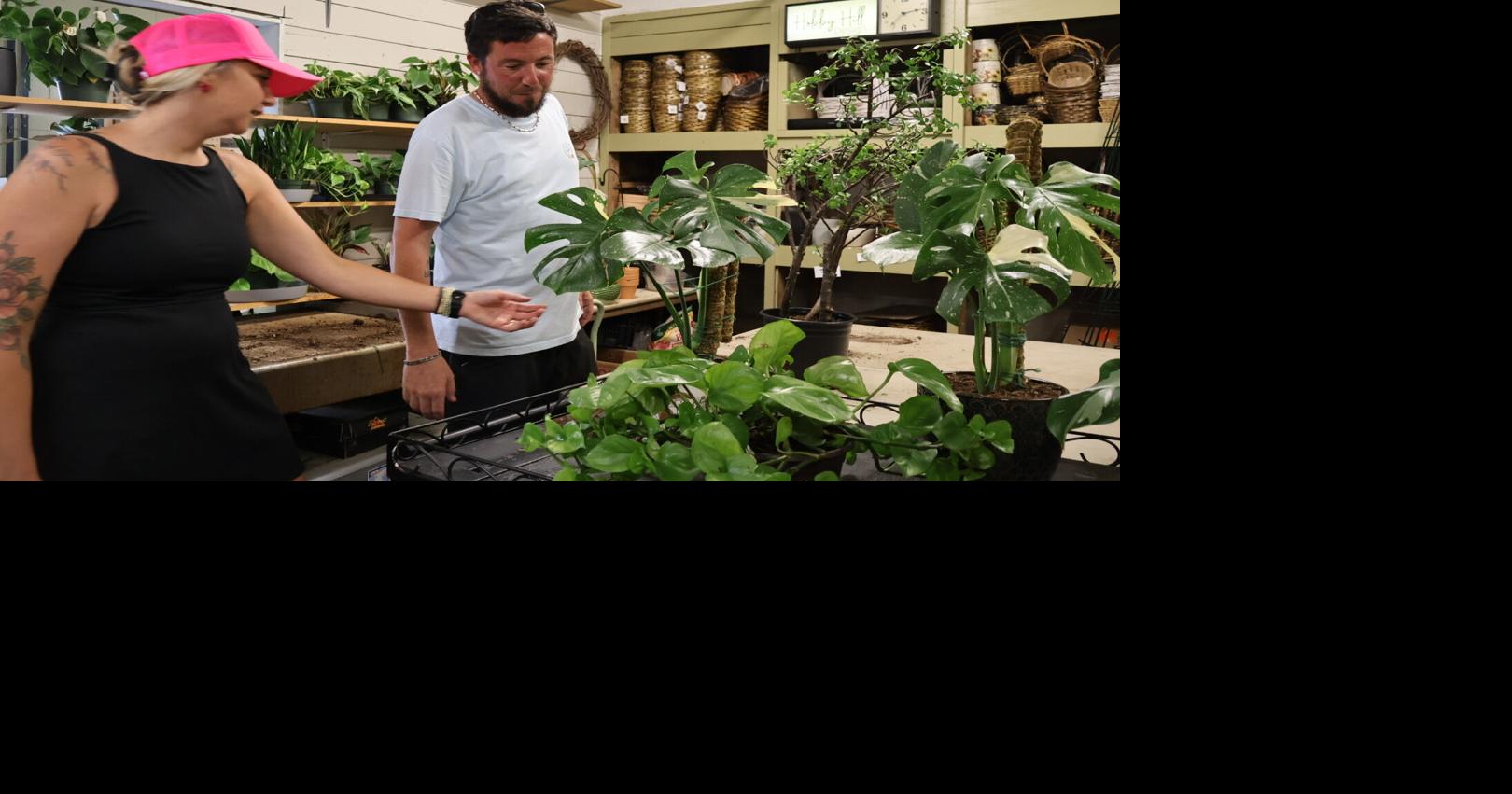 Hobby Hill Design celebrates 75 years blooming in Highlands County ...