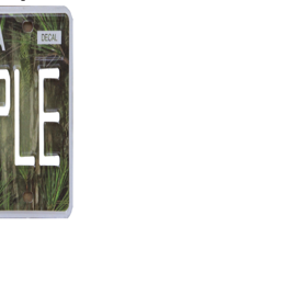 ‘Florida Native’ license plate celebrates Florida’s native plants ...