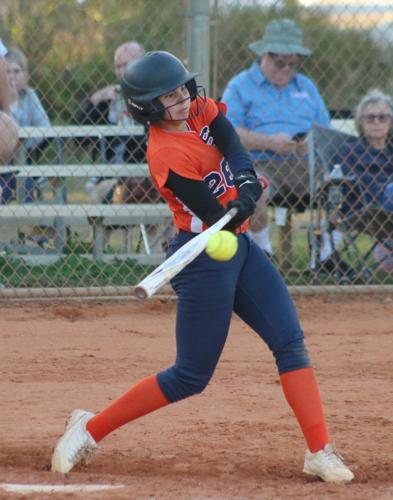 Manatees too much for South Florida softball | Local ...