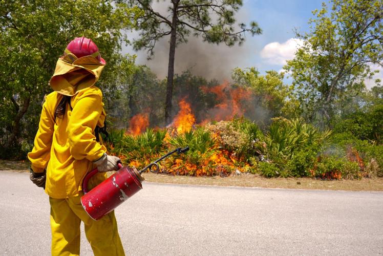 Fire, flood, storms and heat: New collaboration communicates impact of ...