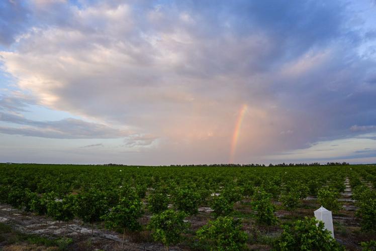 Fire, flood, storms and heat: New collaboration communicates impact of ...
