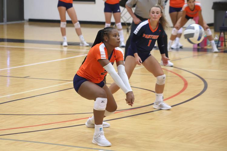 Panthers drop second straight | Local | midfloridanewspapers.com