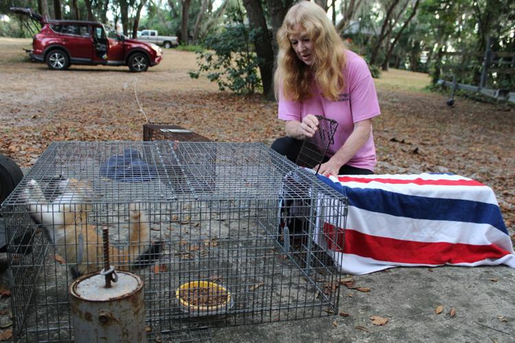Kathi Tincher dedicates years of service to control the feline ...
