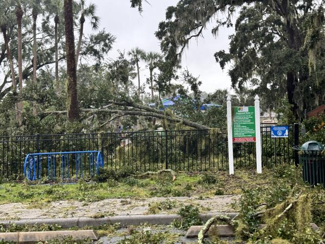 Hurricane Milton | Triangle Sun | midfloridanewspapers.com