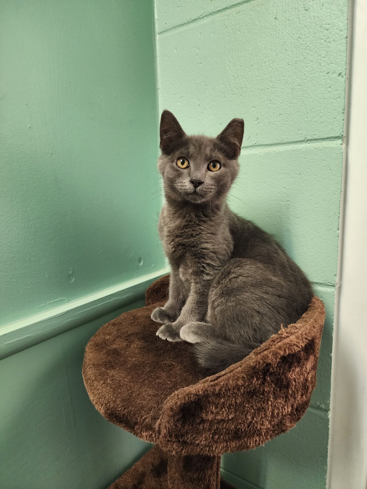 Humane Lake | Community | midfloridanewspapers.com