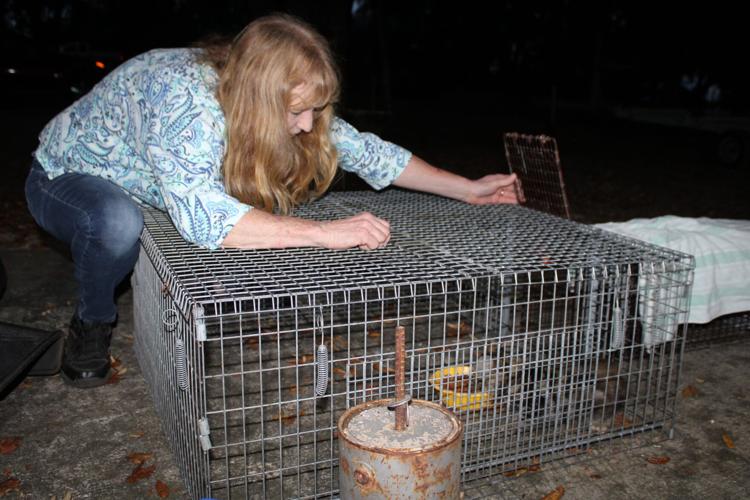 Kathi Tincher dedicates years of service to control the feline ...