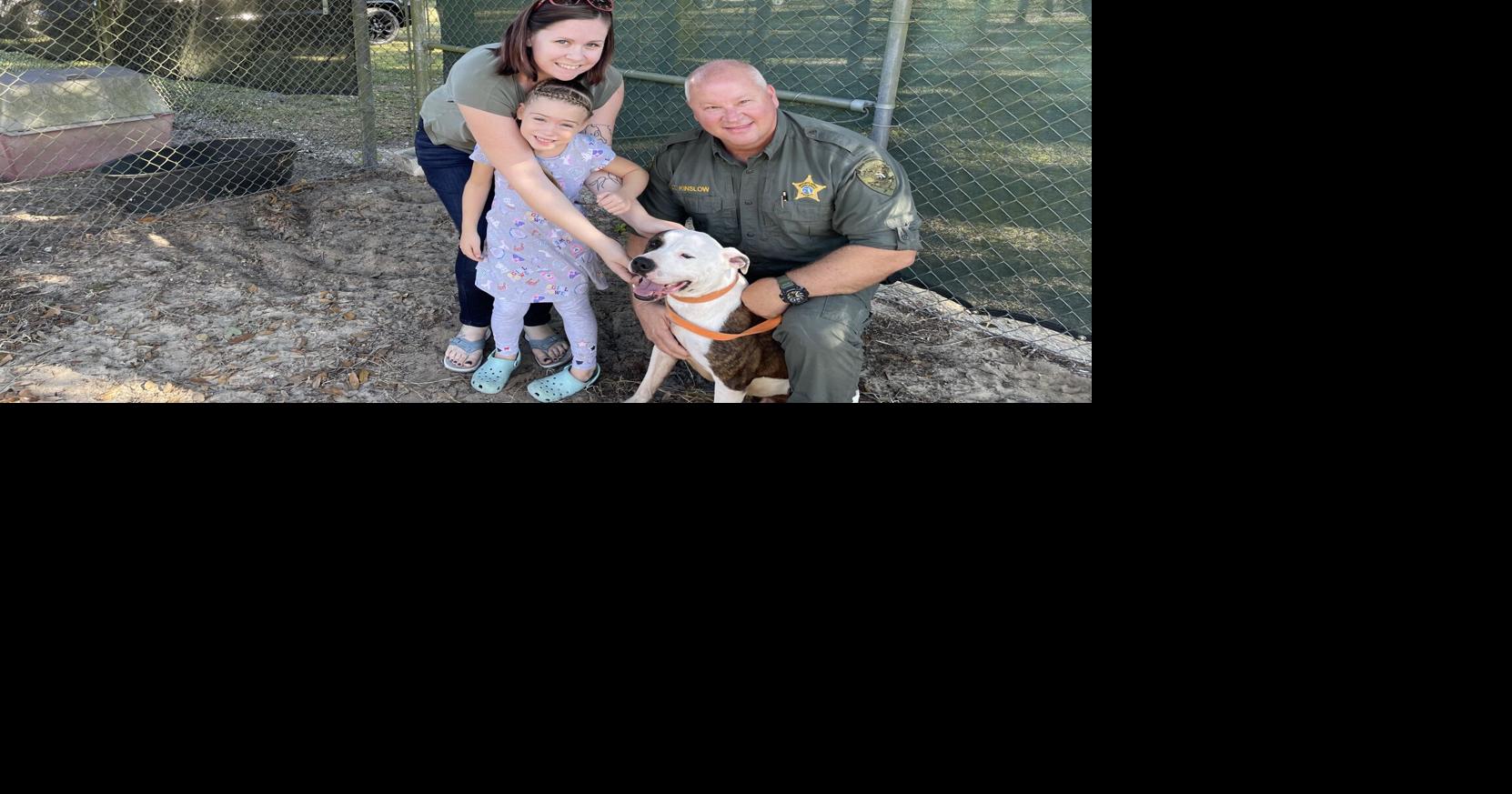 Merry Pawsmas a jolly success | Highlands News-Sun ...