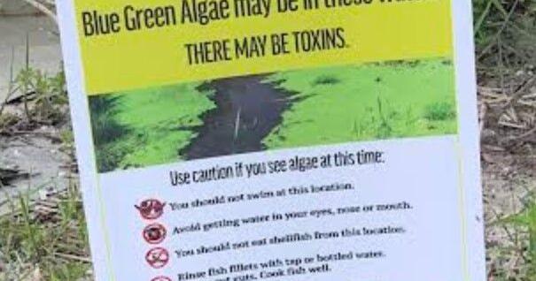 Lake Placid project to get $7 million | Highlands News-Sun ...