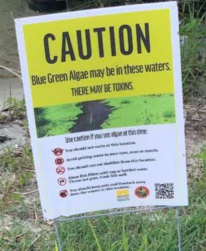 Lake Placid project to get $7 million | Highlands News-Sun ...