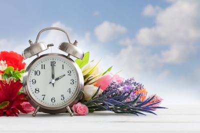 Check Your Irrigation Timer When You ‘Spring Forward’ for Daylight ...