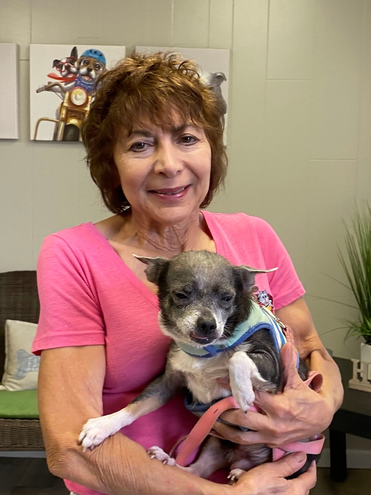 Animal rescue needs rescuing | News | midfloridanewspapers.com