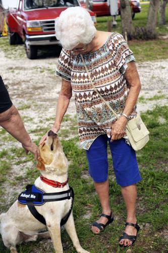 Carlie Lynne's Bar honors man's best friend | News ...