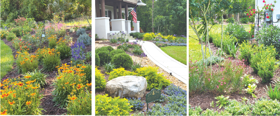 Garden of the Month a multi-colored treat | Community ...