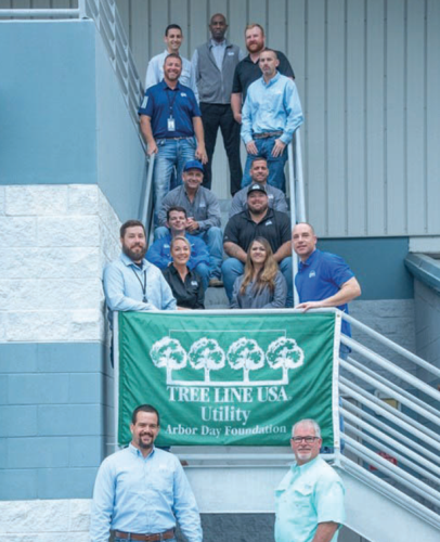 SECO Energy named 2023 Tree Line USA Utility for 16th year | Business ...