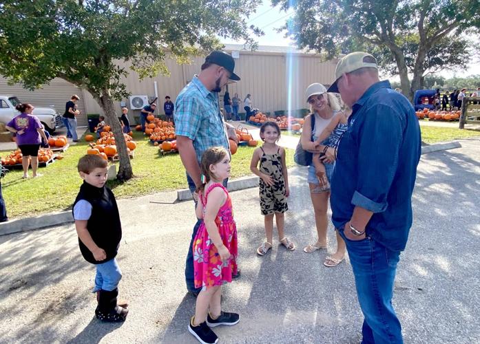 Insight Auctioneers gave thousands of pumpkins away | Highlands Sun ...