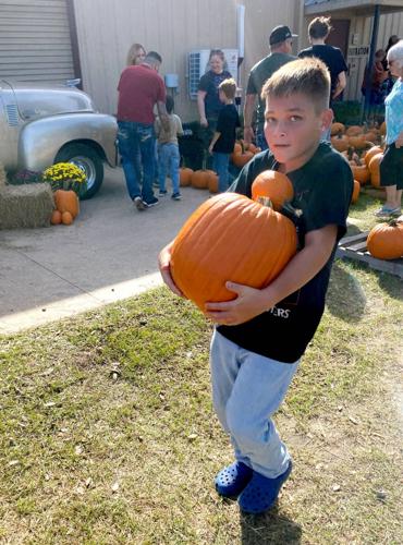 Insight Auctioneers gave thousands of pumpkins away | Highlands Sun ...