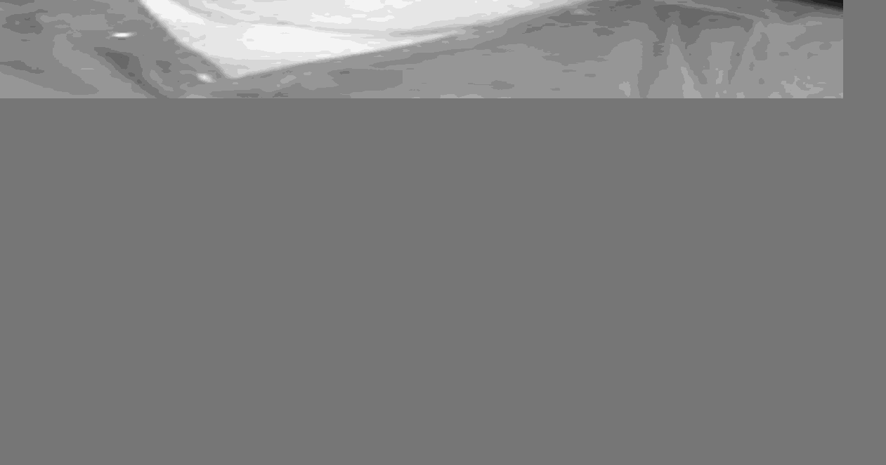 Roy "Bud" Cox Jr. | Obituaries | midfloridanewspapers.com