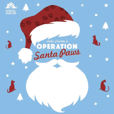 Lake County Animal Shelter hosts Operation Santa Paws | Clermont News ...