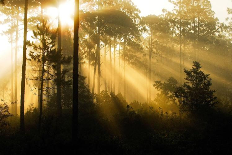 Hendrie Ranch approved for conservation easement | News ...