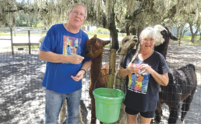 Curiosity turns into a passion | Clermont News Leader ...