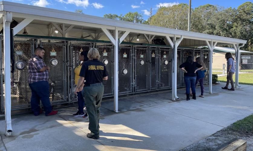 Merry Pawsmas a jolly success | Highlands News-Sun ...