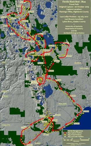 Archbold wins 2nd place for Bear Necessities story map | Around Town ...